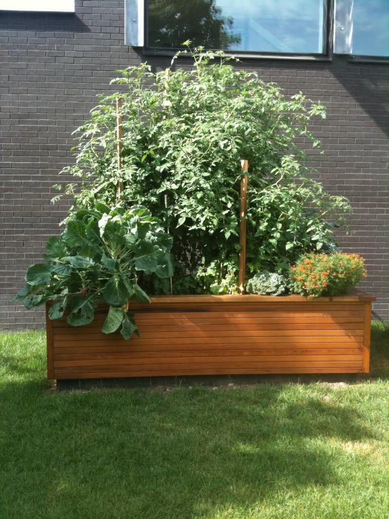 Food Gardens Provide Freshness – The Spectrum