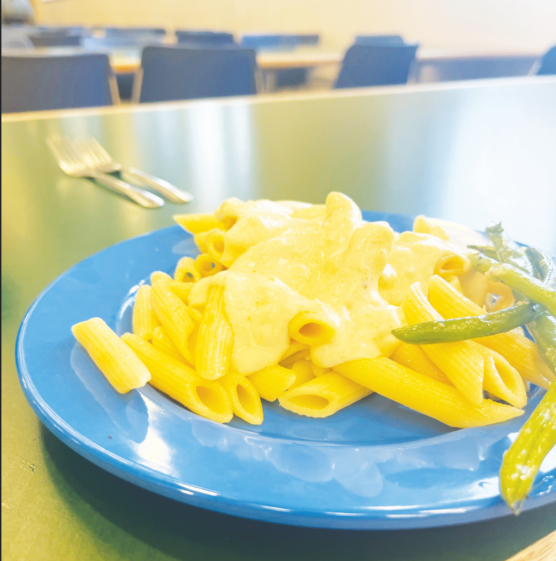 Best vs Worst School Lunches – The Spectrum